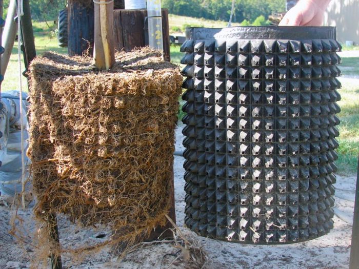 Benefits of Our Root-Maker® System - Athens Tree Farm