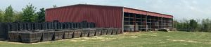 Availability - Athens Tree Farm